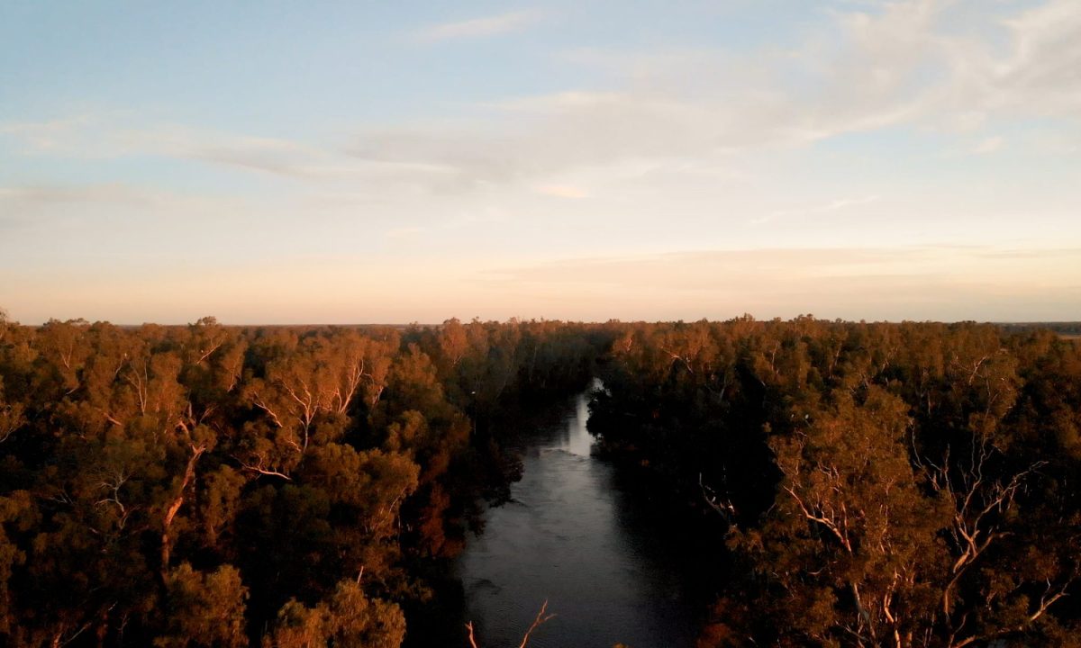 Following the Flow – Feature Documentary • Now Showing